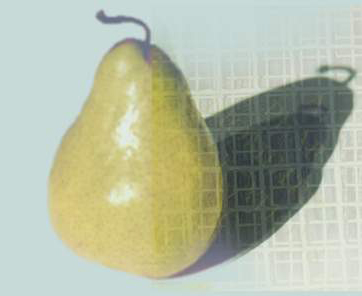 The A-Pear System | A-Pear Biometric Replications Inc.